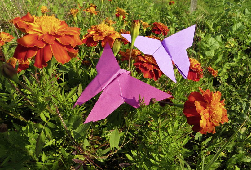 Flocon origami facile - déco noël - La TÉLÉ des KIDS